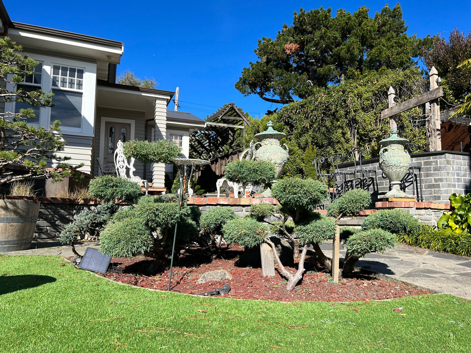 Juniper Landscaping – Shiro Bonsai