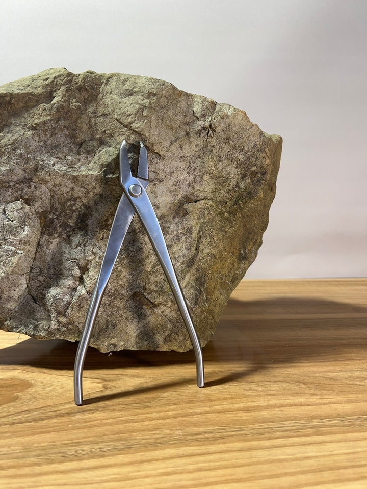 Tools And Wire – Shiro Bonsai