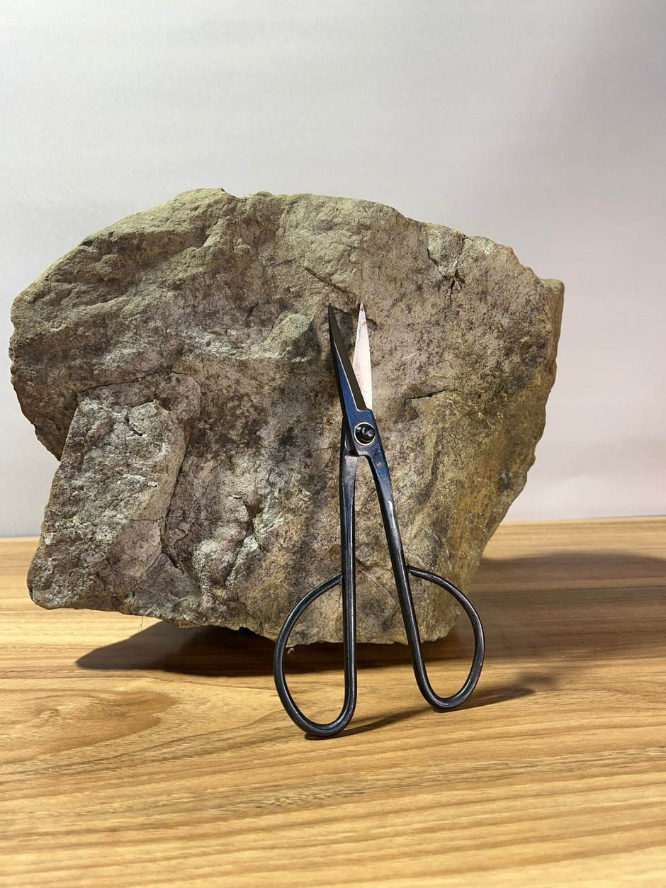 Tools And Wire – Shiro Bonsai